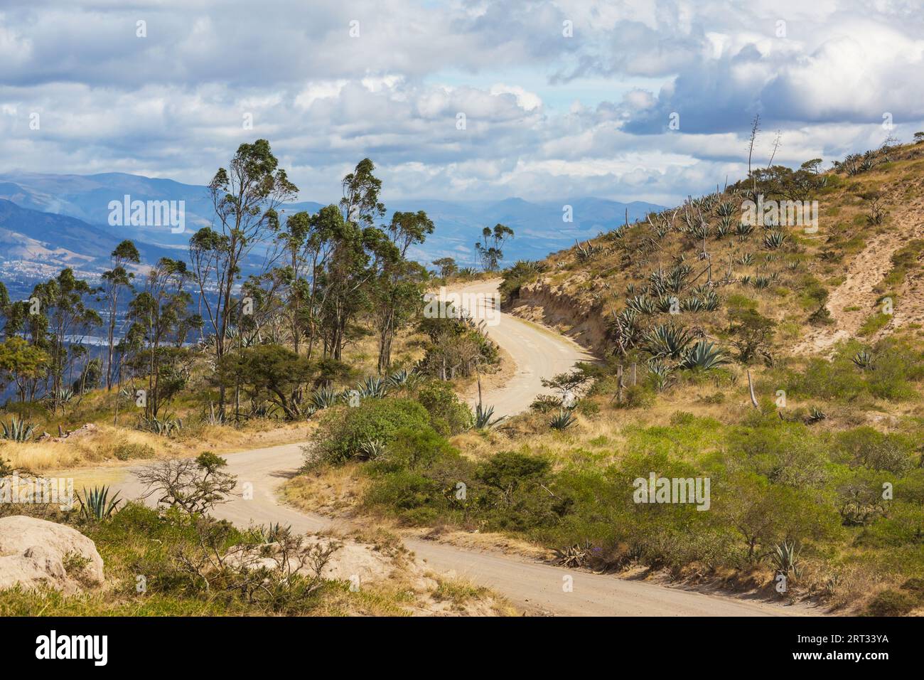 Colombia forest country road hi-res stock photography and images - Alamy