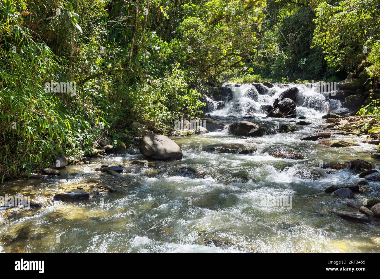 Beautiful waterfall in Ecuador, South America Stock Photo - Alamy