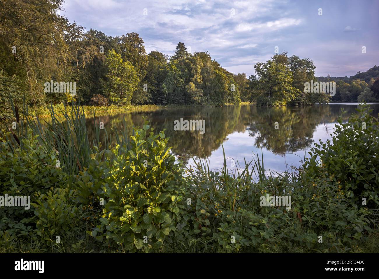 On the western edge of Greiz, the former royal seat of the Principality ...