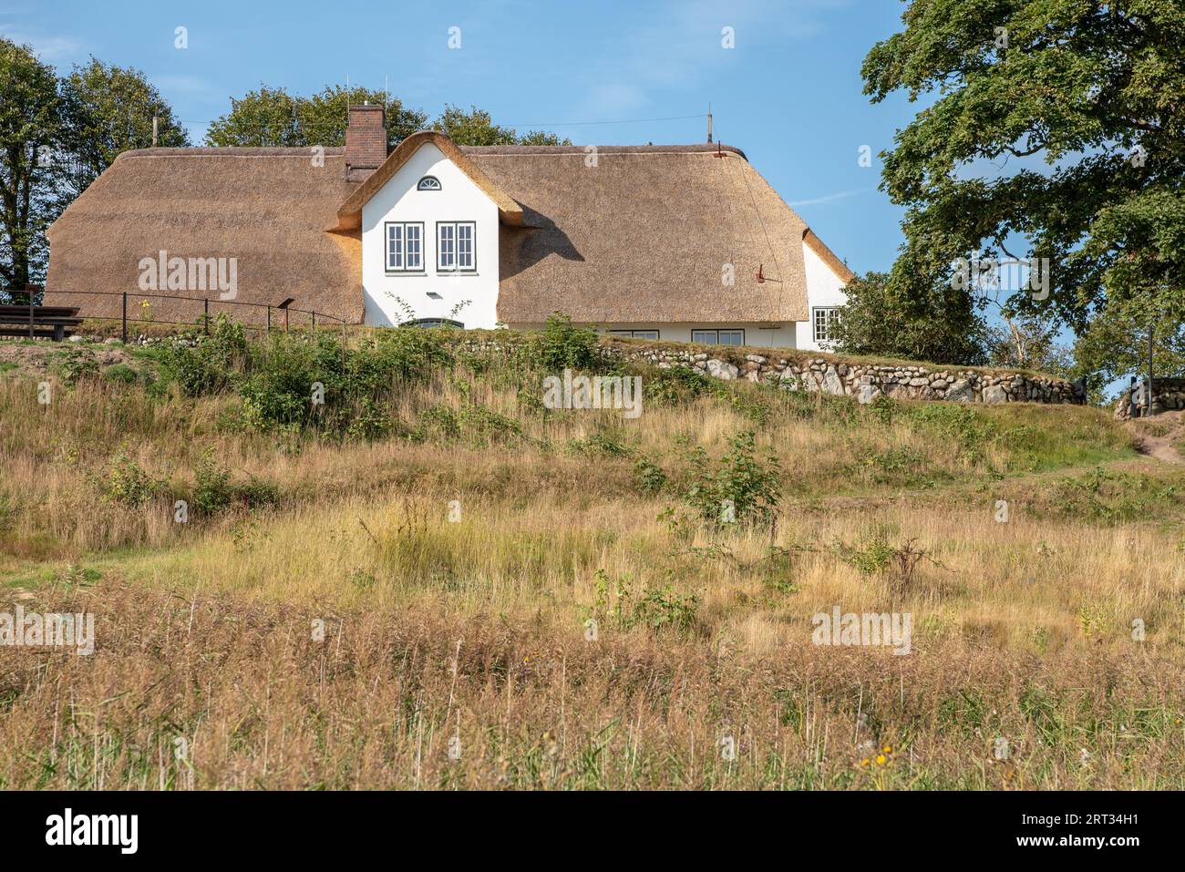 Thatched roof house on the Wadden Sea Stock Photo - Alamy