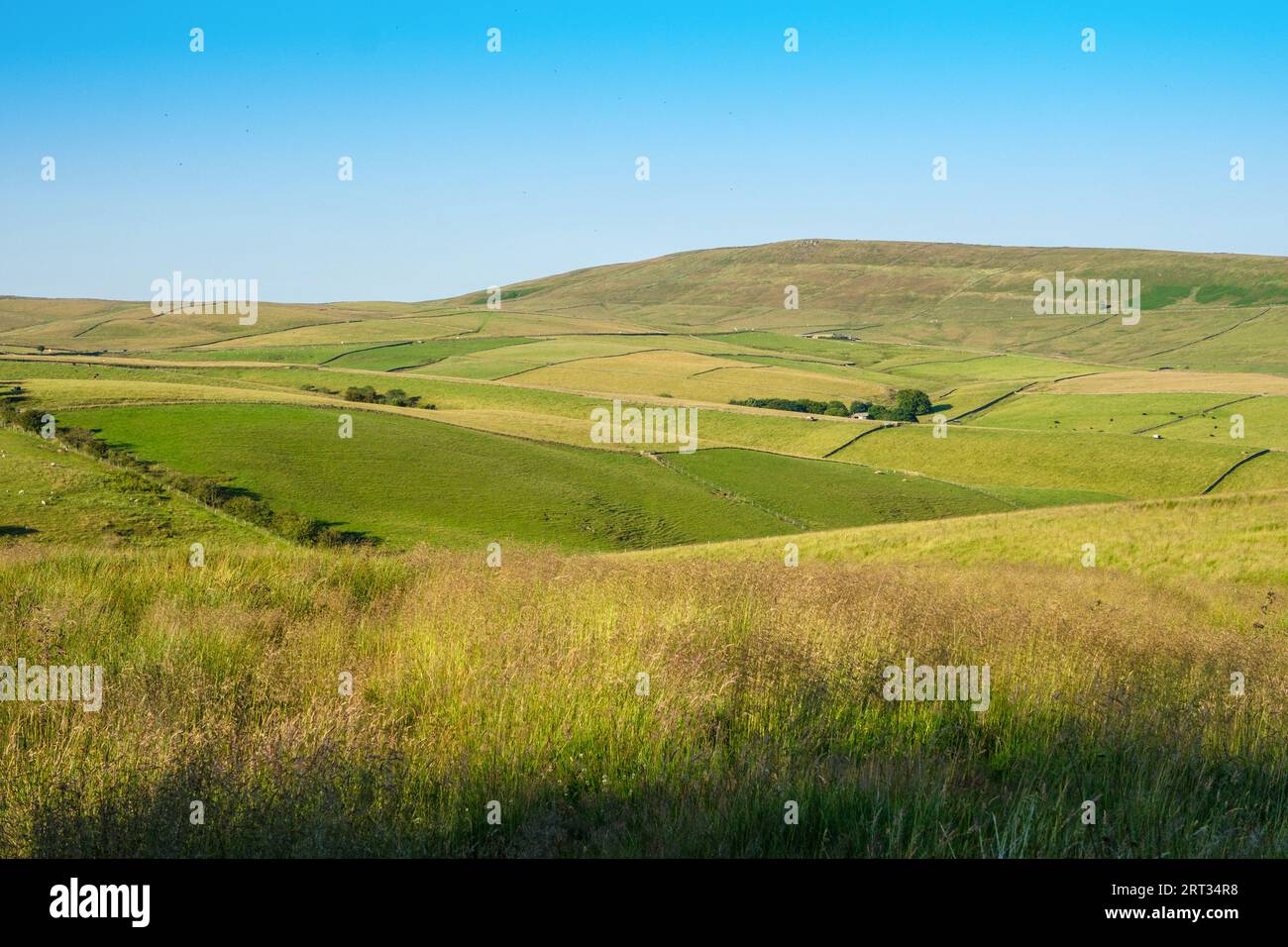 Shining Tor in the Peak District National Park Stock Photo - Alamy