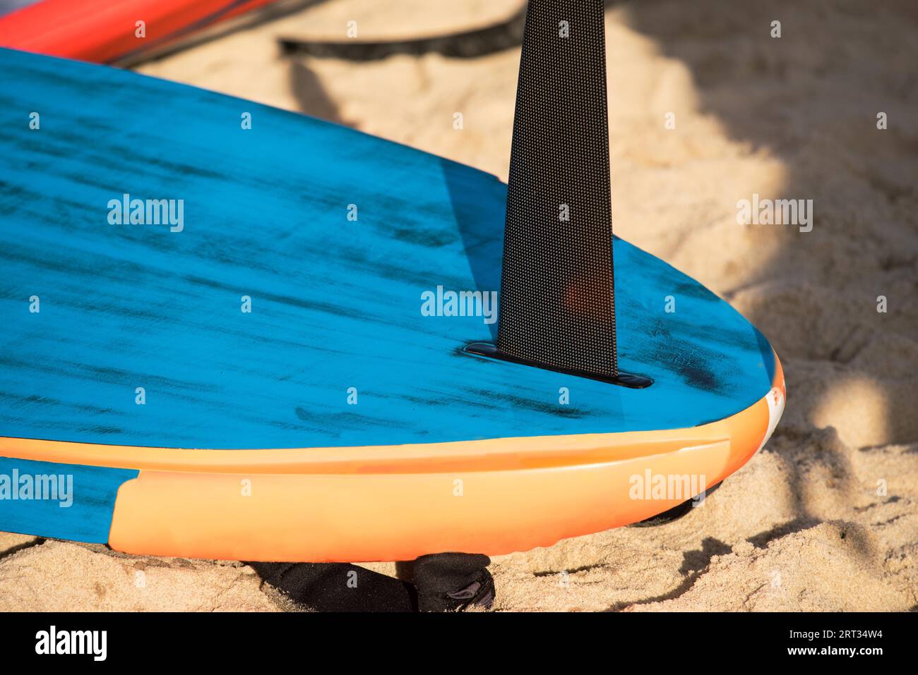 Fin on the stern of a surfboard Stock Photo - Alamy