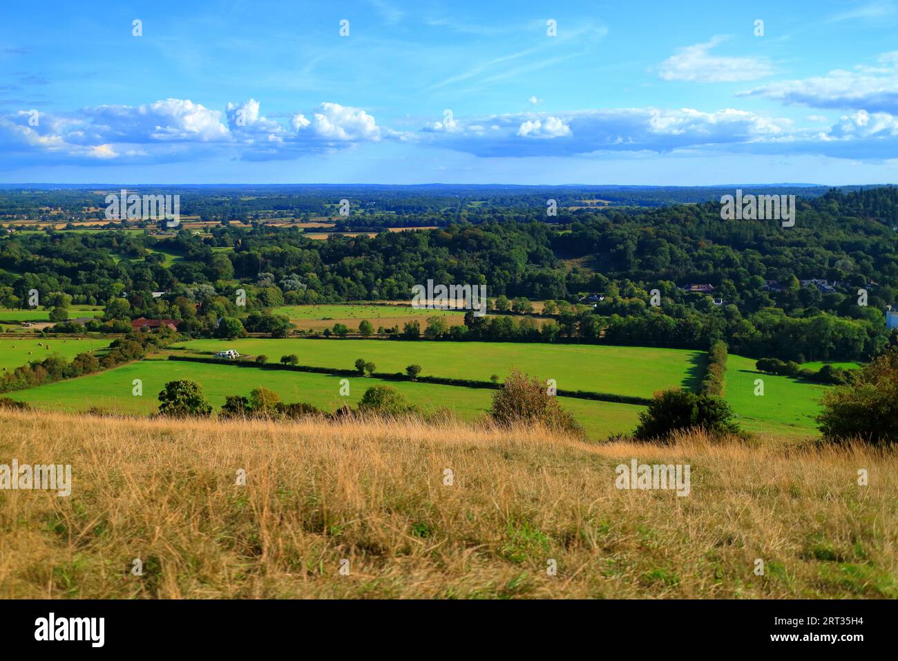 Box Hill, Surrey, UK Stock Photo - Alamy