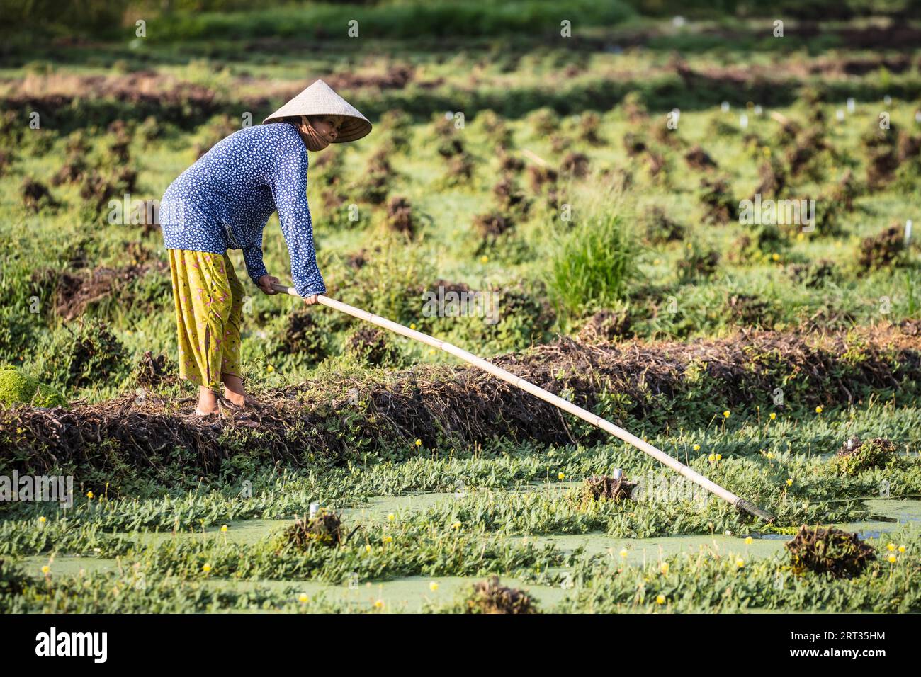 Mekong Delta, Vietnam, September 28, 2018: Unidentified local people ...