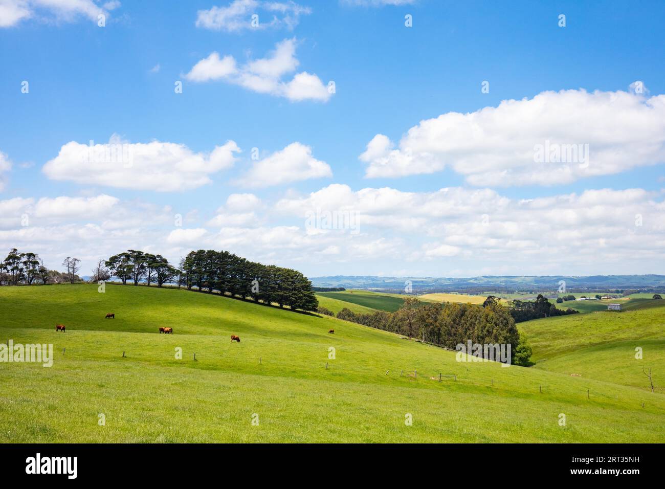 Strzelecki ranges hi-res stock photography and images - Alamy