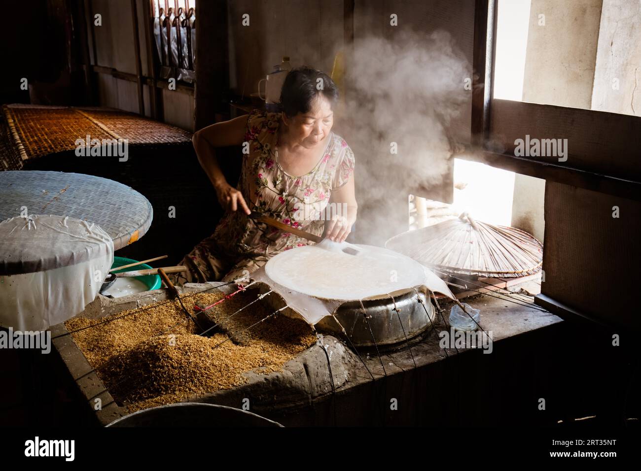 Vietnamese factory woman hi-res stock photography and images - Alamy