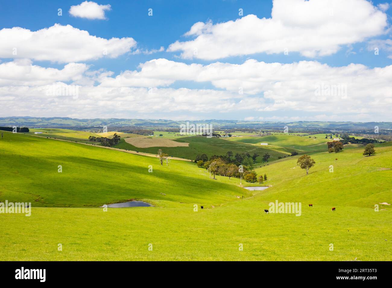 Koonwarra hi-res stock photography and images - Alamy