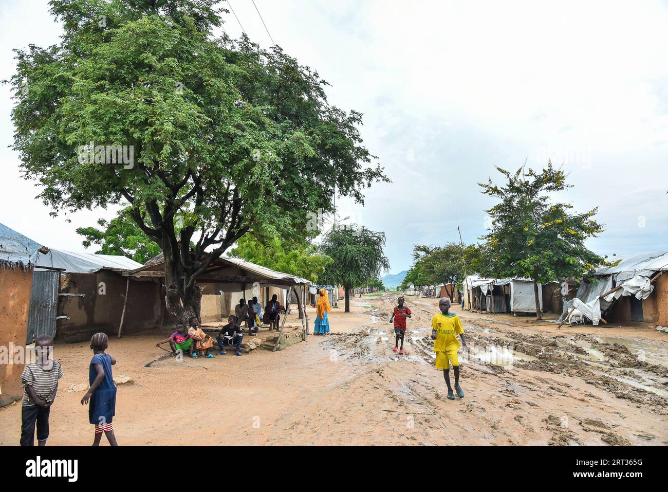 Yaounde, Cameroon. 6th Aug, 2023. This photo shows tree-lined streets ...