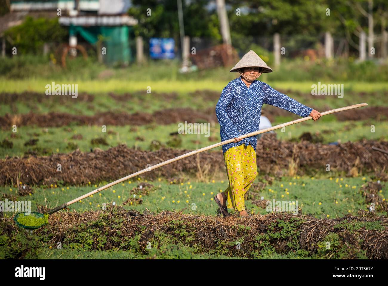 Mekong Delta, Vietnam, September 28, 2018: Unidentified local people ...