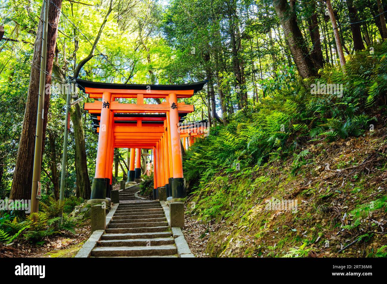 Red Tori Gate at Fushimi Inari Shrine in Kyoto, Japan. One of the ...