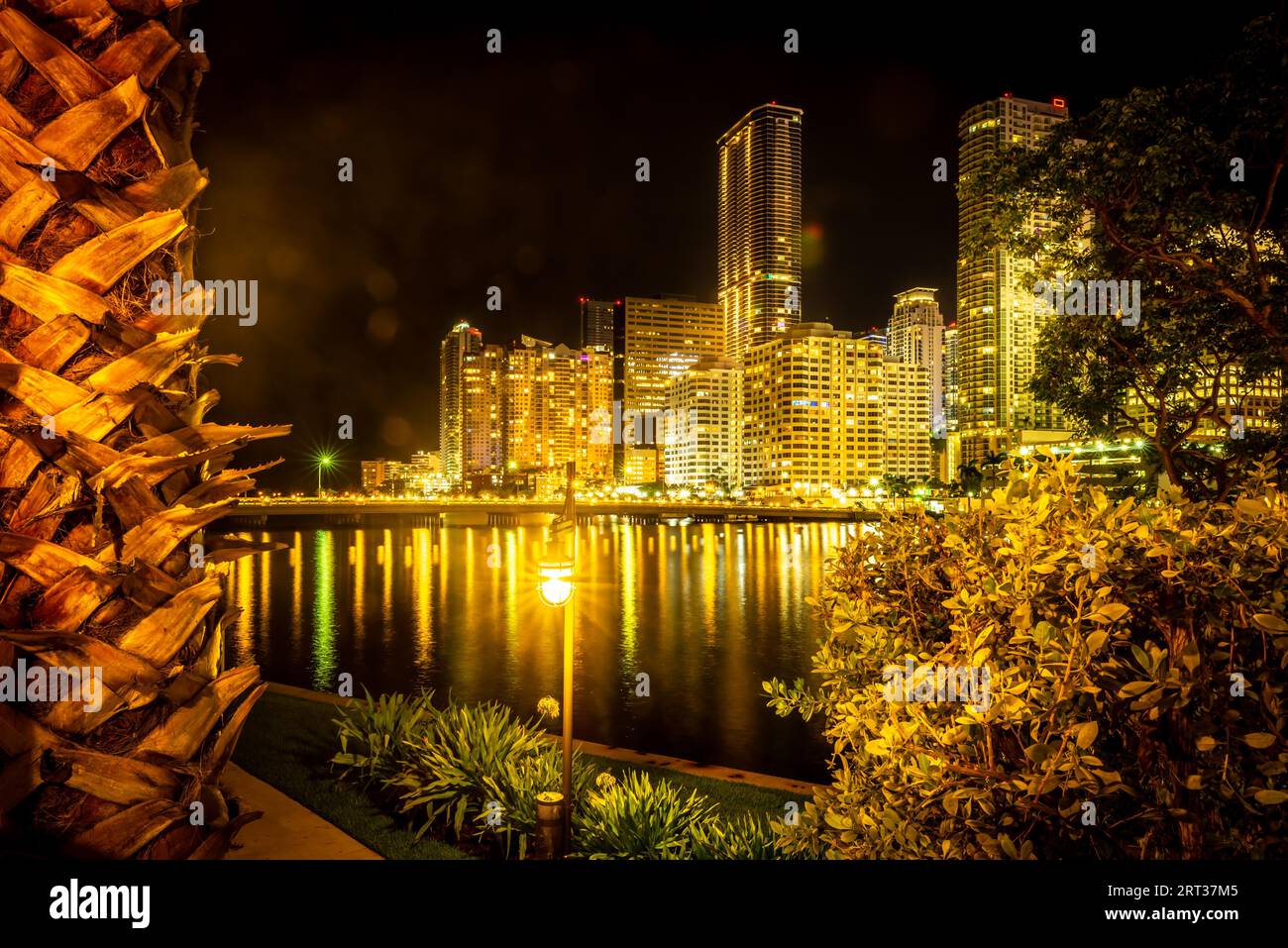 Night light view of Miami downtown buildings in Florida Stock Photo - Alamy