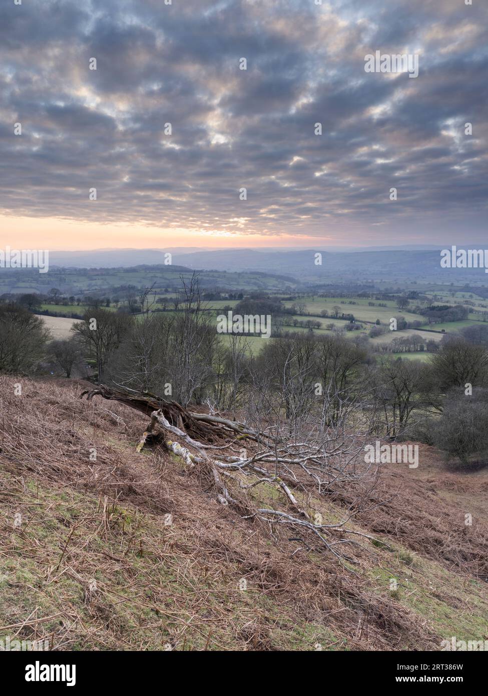 Clee hill common hi-res stock photography and images - Alamy