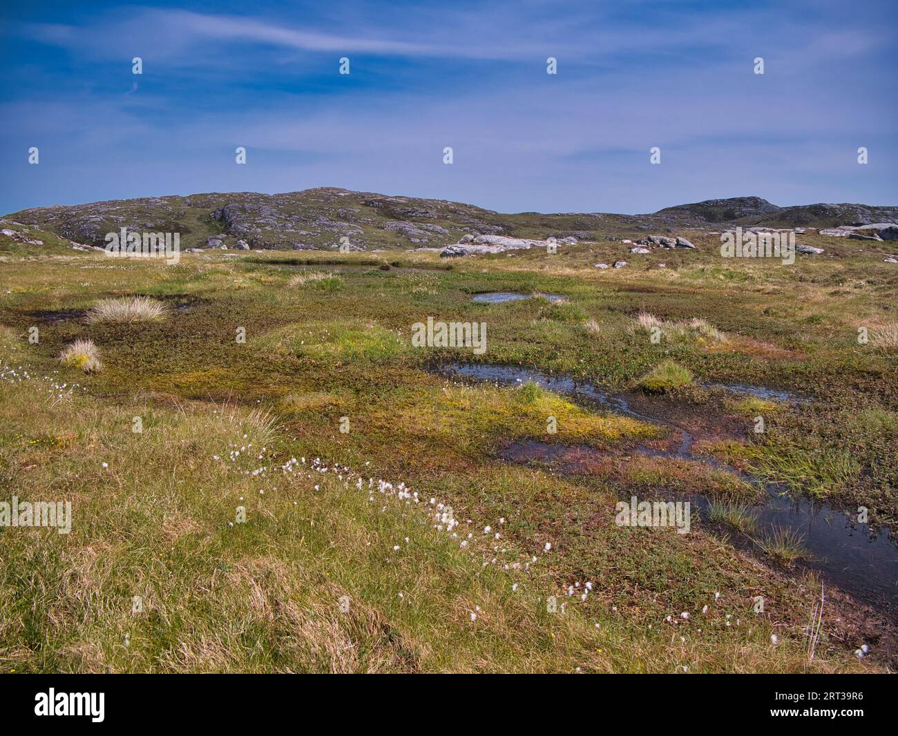 Pristine peat forming wetland on the island of Bernera (Great Bernera ...