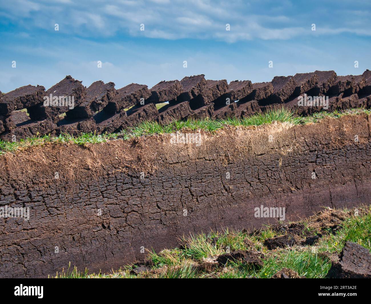 Freshly cut blocks of peat stacked in rows above a trench in the peat ...