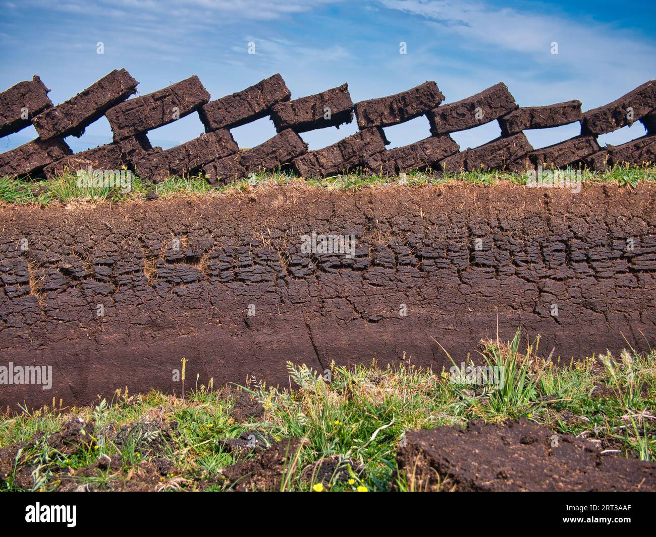 Freshly cut blocks of peat stacked in rows above a trench in the peat ...