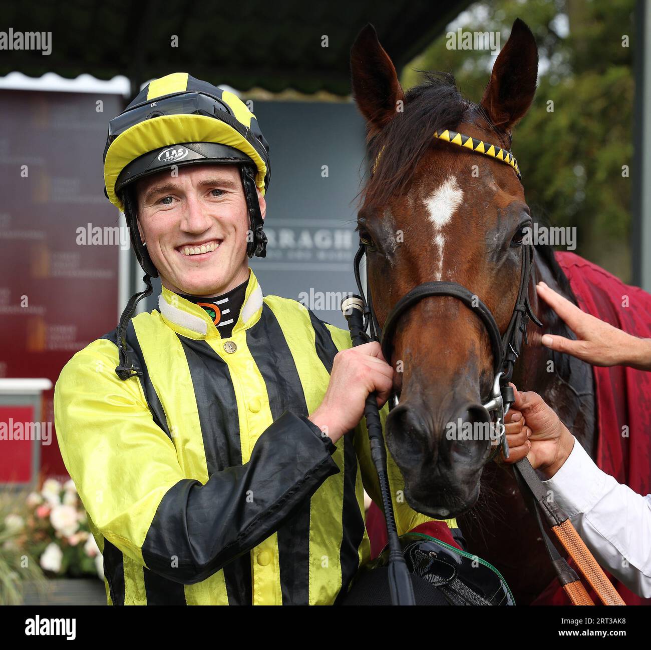 Eldar horse hi-res stock photography and images - Alamy