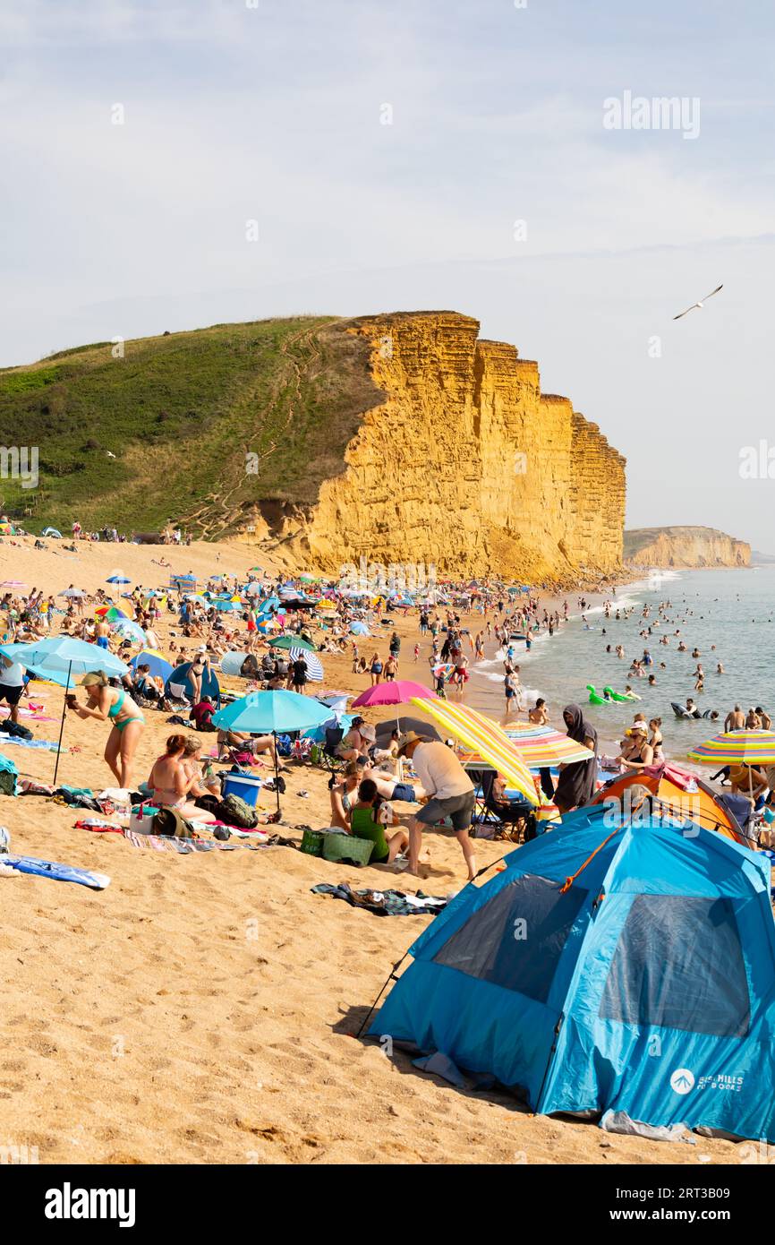 The golden cliffs of West Bay with sunbathers and swimmers after recent ...
