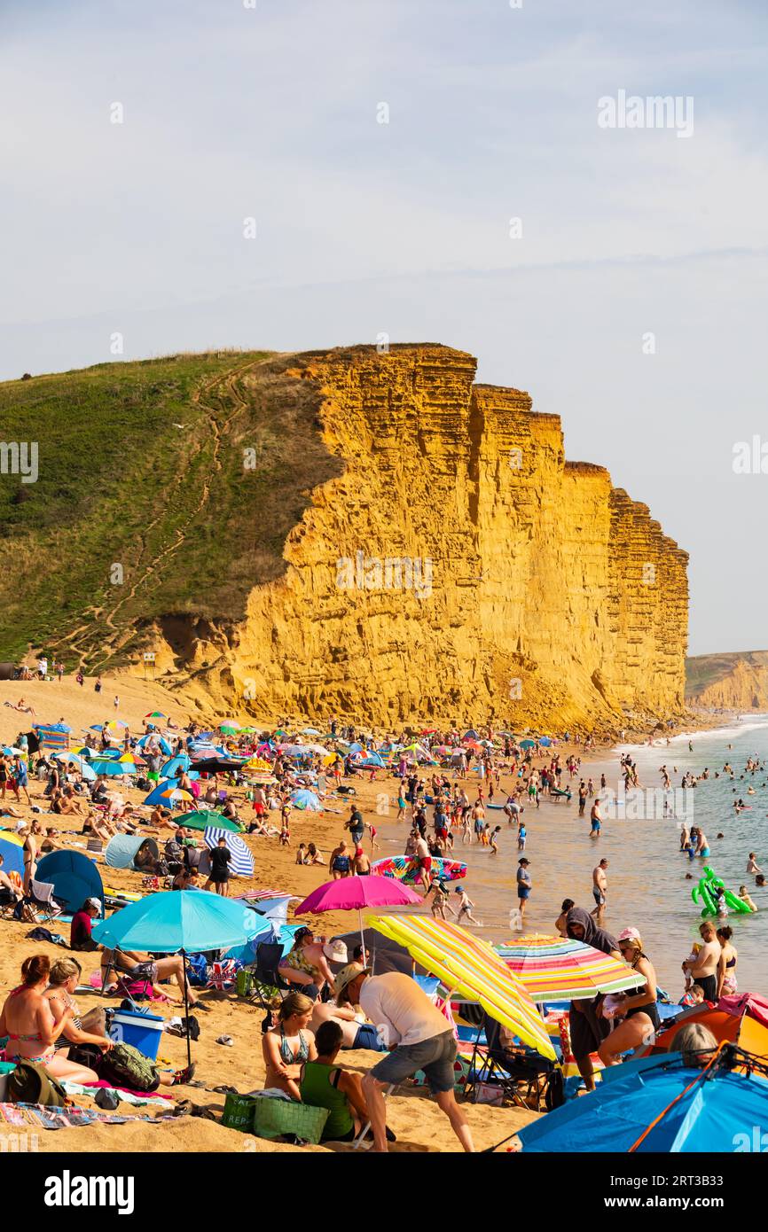 The golden cliffs of West Bay with sunbathers and swimmers after recent ...