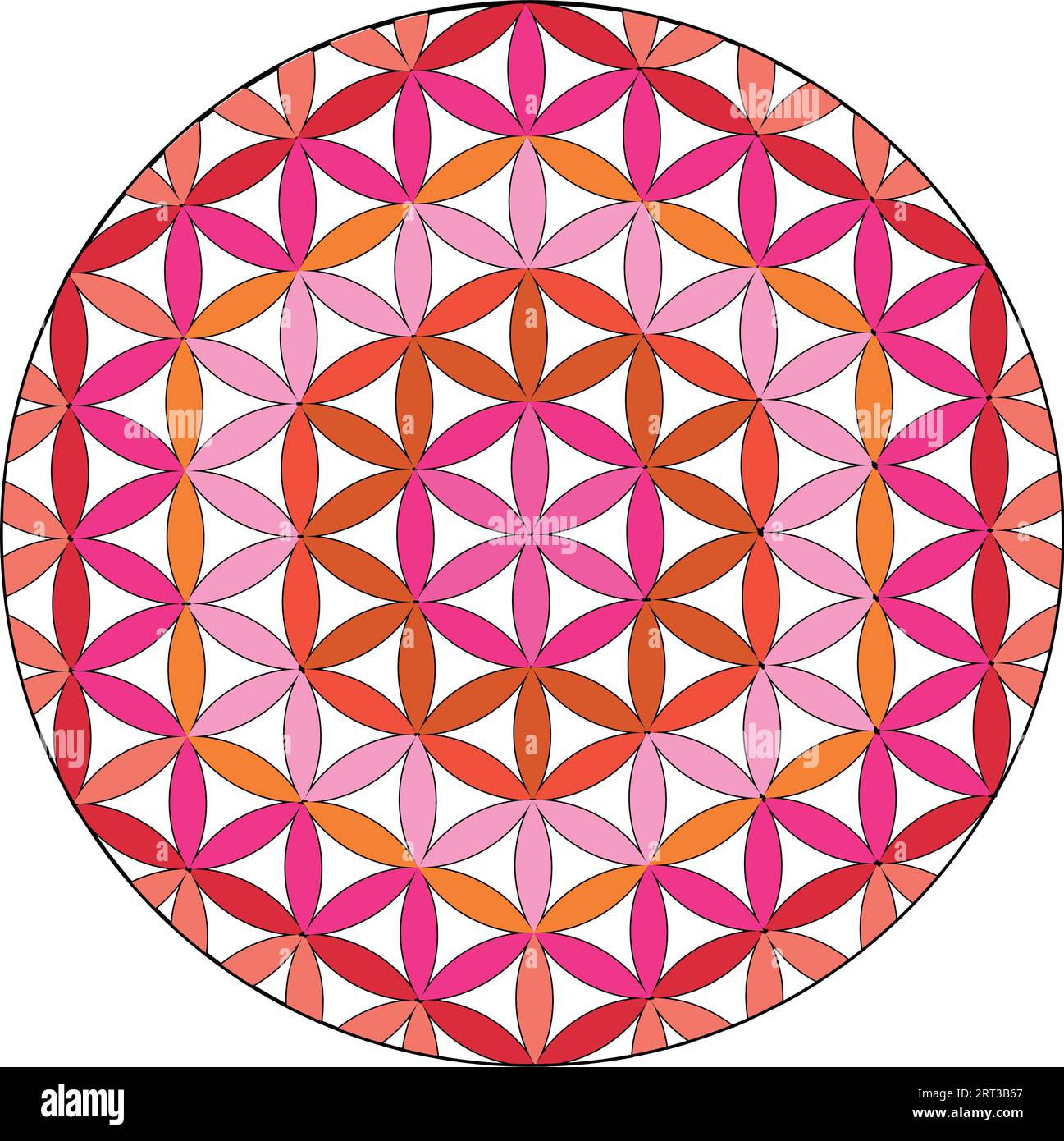 Concentric circle elements. Element for graphic web design, Template ...