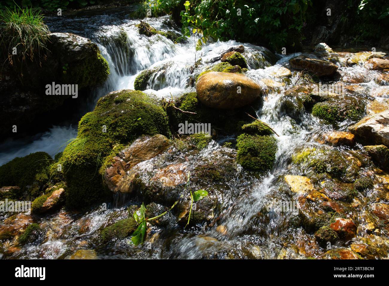 River flowing through park rio hi-res stock photography and images - Alamy