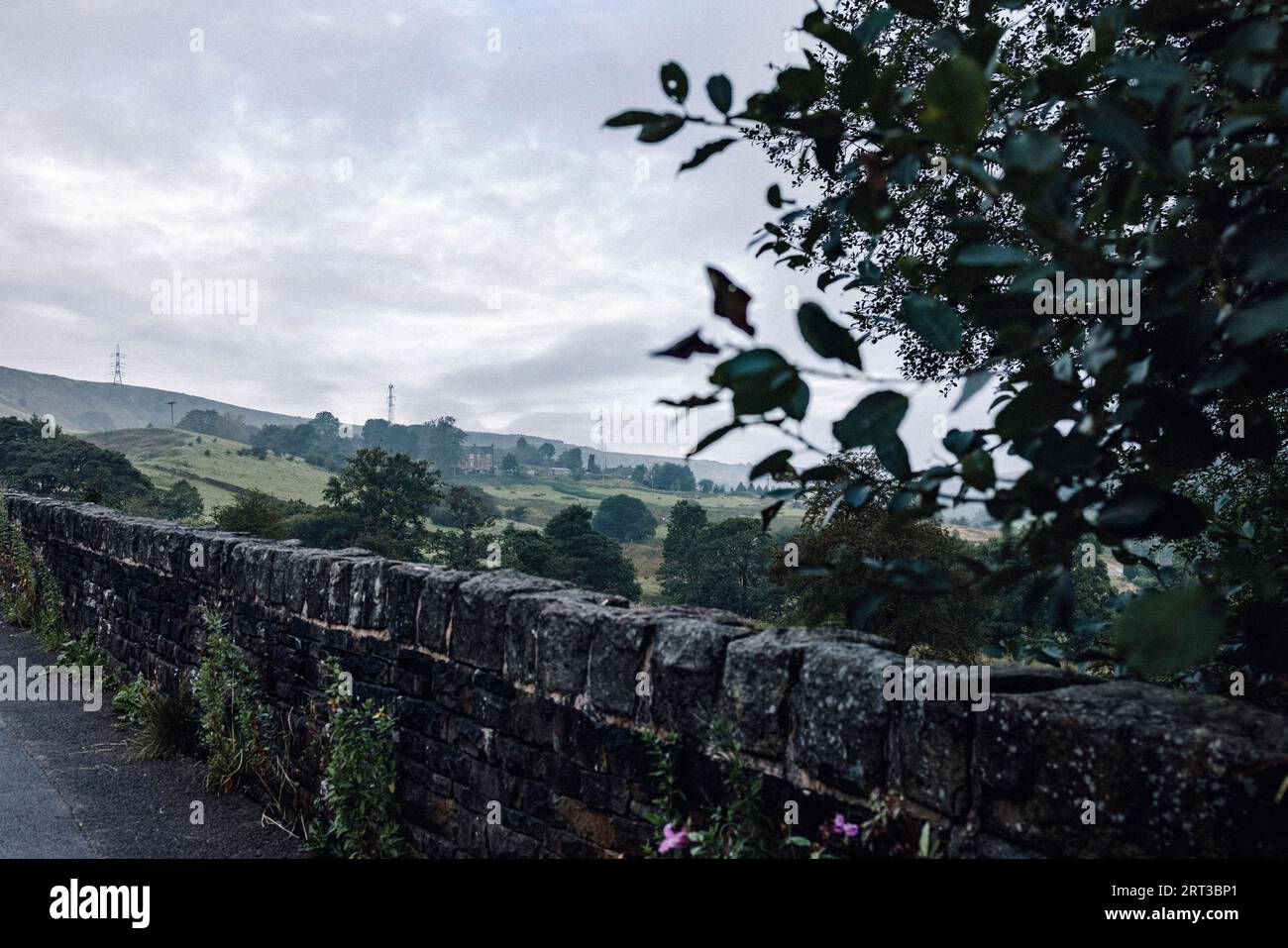 Serene backdrop includes hi-res stock photography and images - Alamy