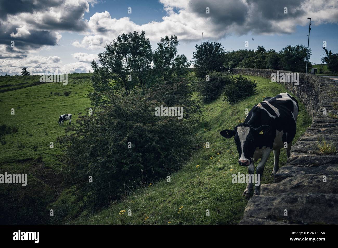 English countryside. North West England. Delph. Beautiful and green ...