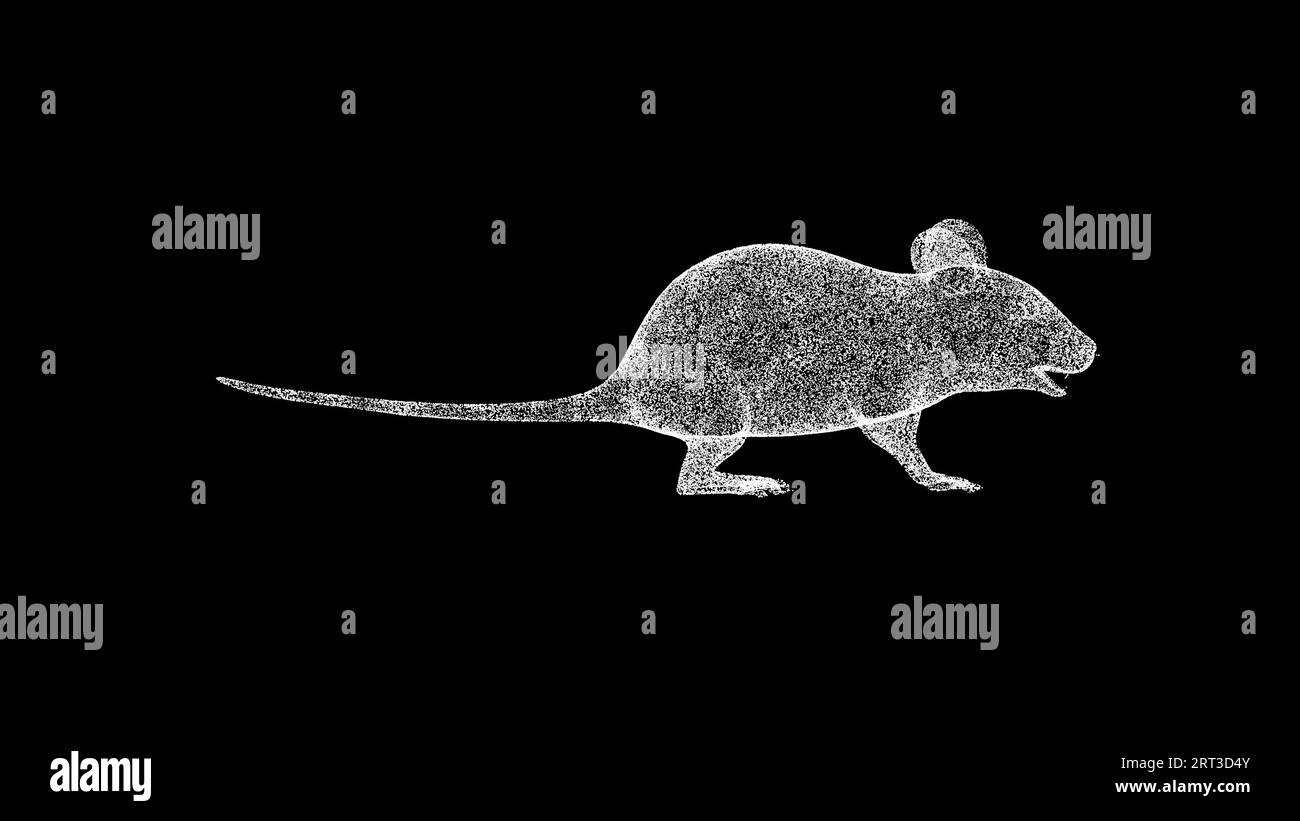 3D Mouse on black background. Small animals concept. Rodents and pests ...