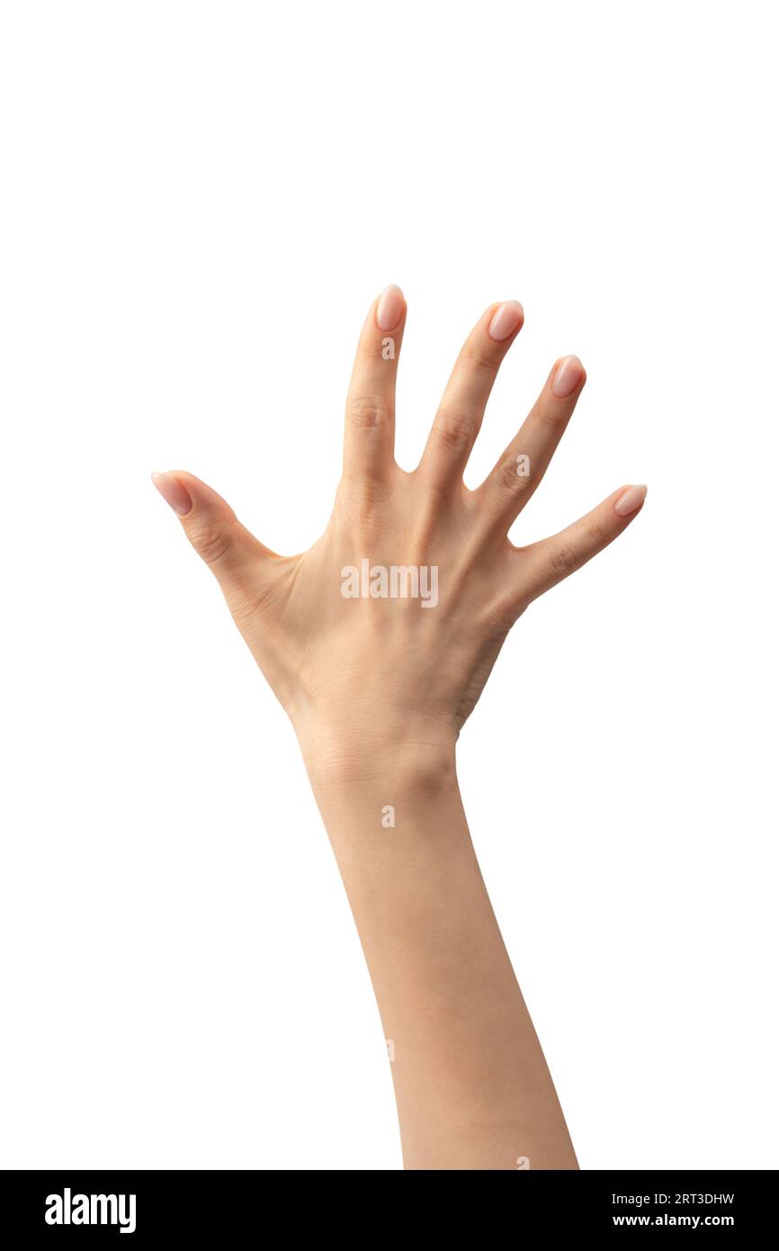 Woman hand isolated on a white background Stock Photo - Alamy