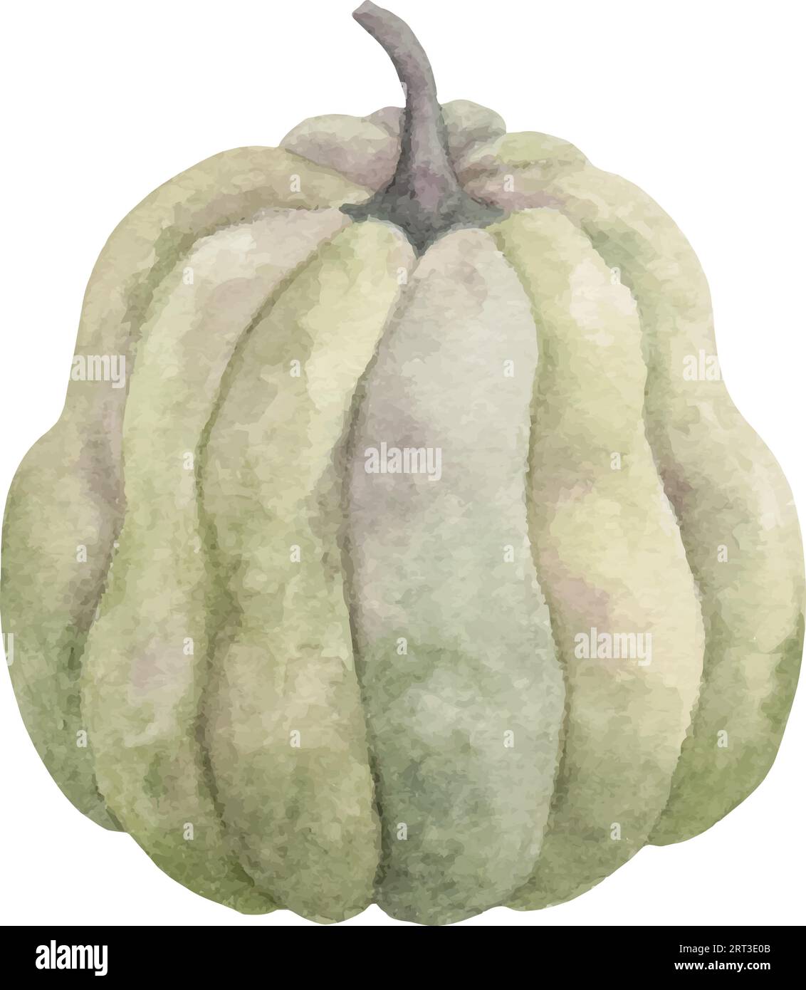 Beautiful pumpkin autumn vegetables Cut Out Stock Images & Pictures - Alamy