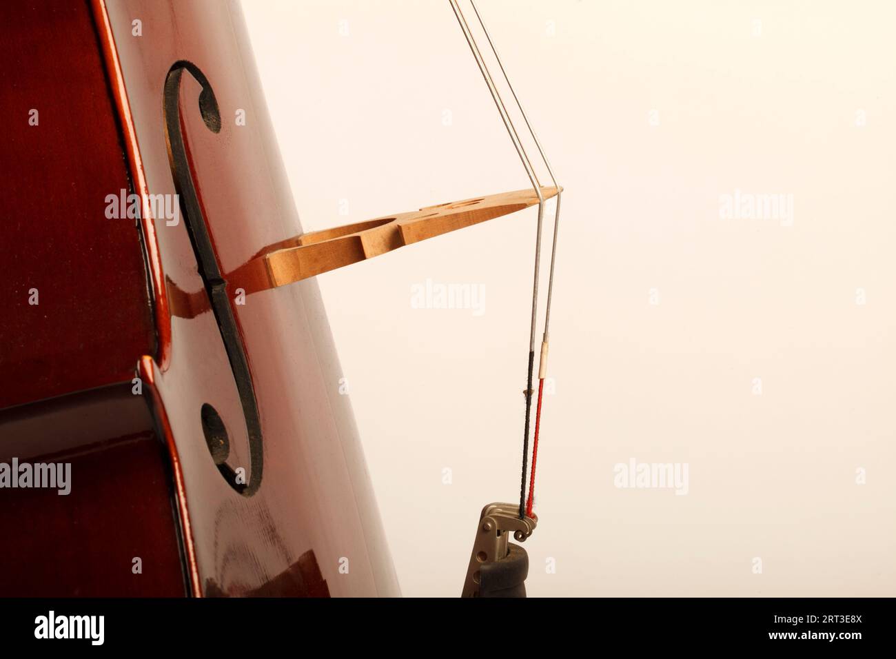Close up cello bridge strings hi-res stock photography and images - Alamy