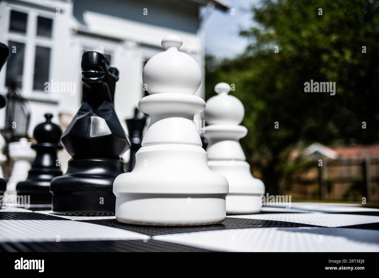 Pieces of a large garden chess set Stock Photo - Alamy