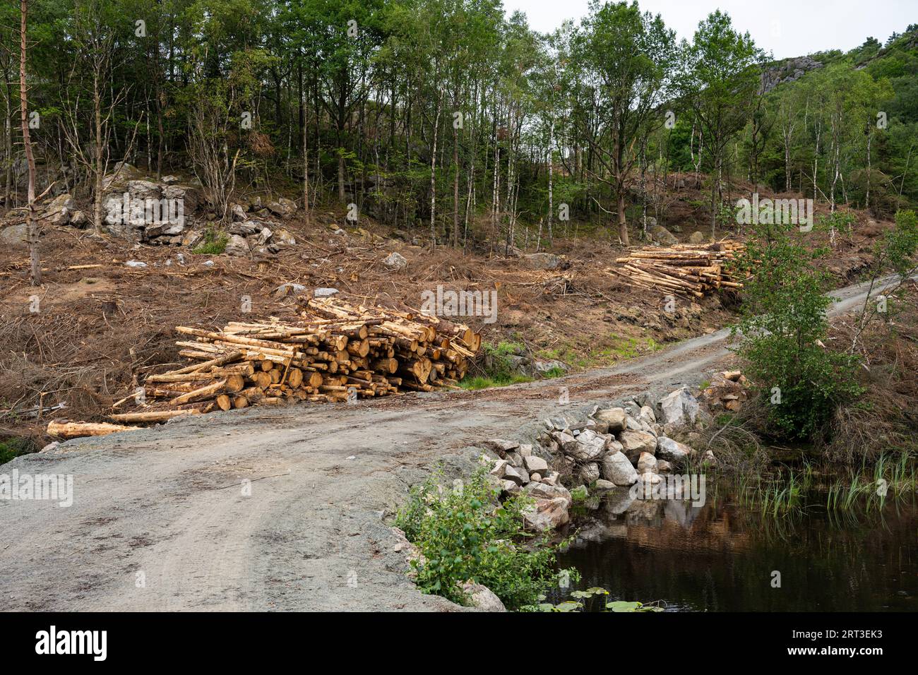 Stacks of timber by the side of a gravel road Stock Photo - Alamy