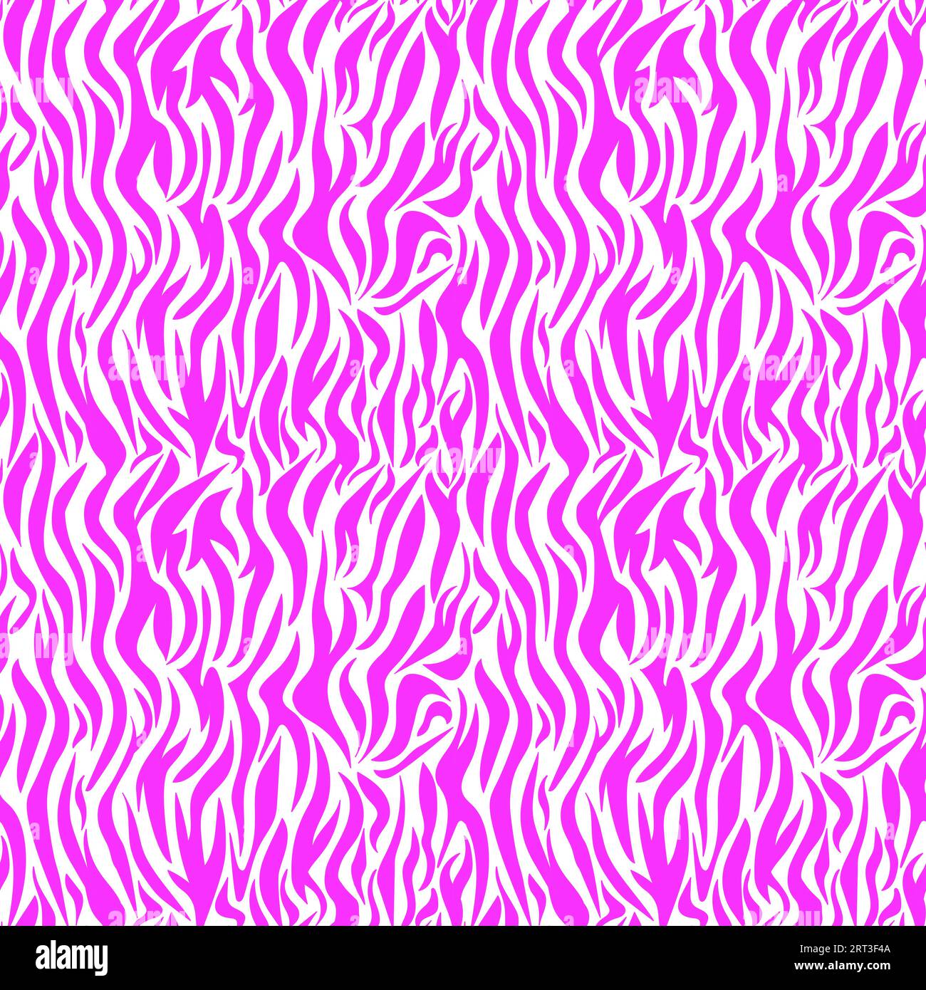 Zebra seamless pattern magenta. Pink stripes on a white background ...