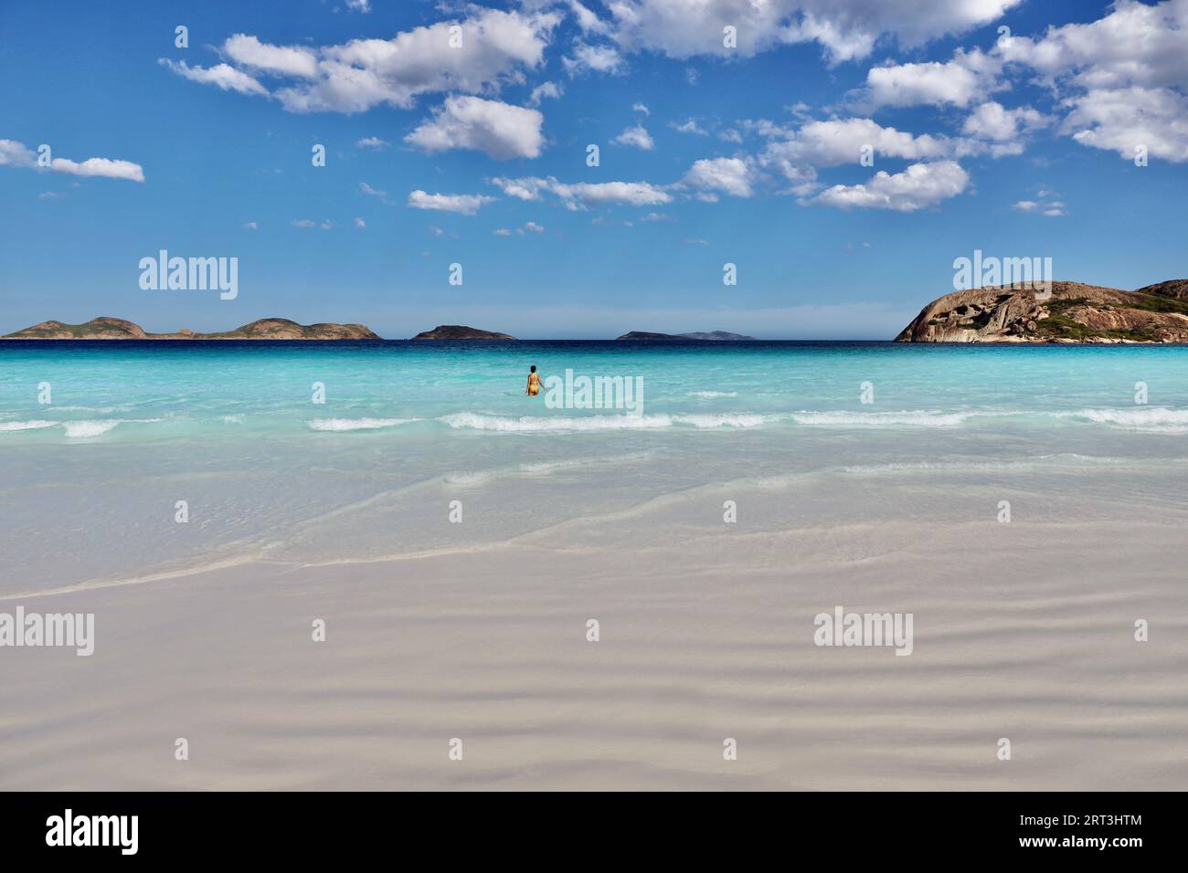 Australian beach flora and fauna hi-res stock photography and images ...