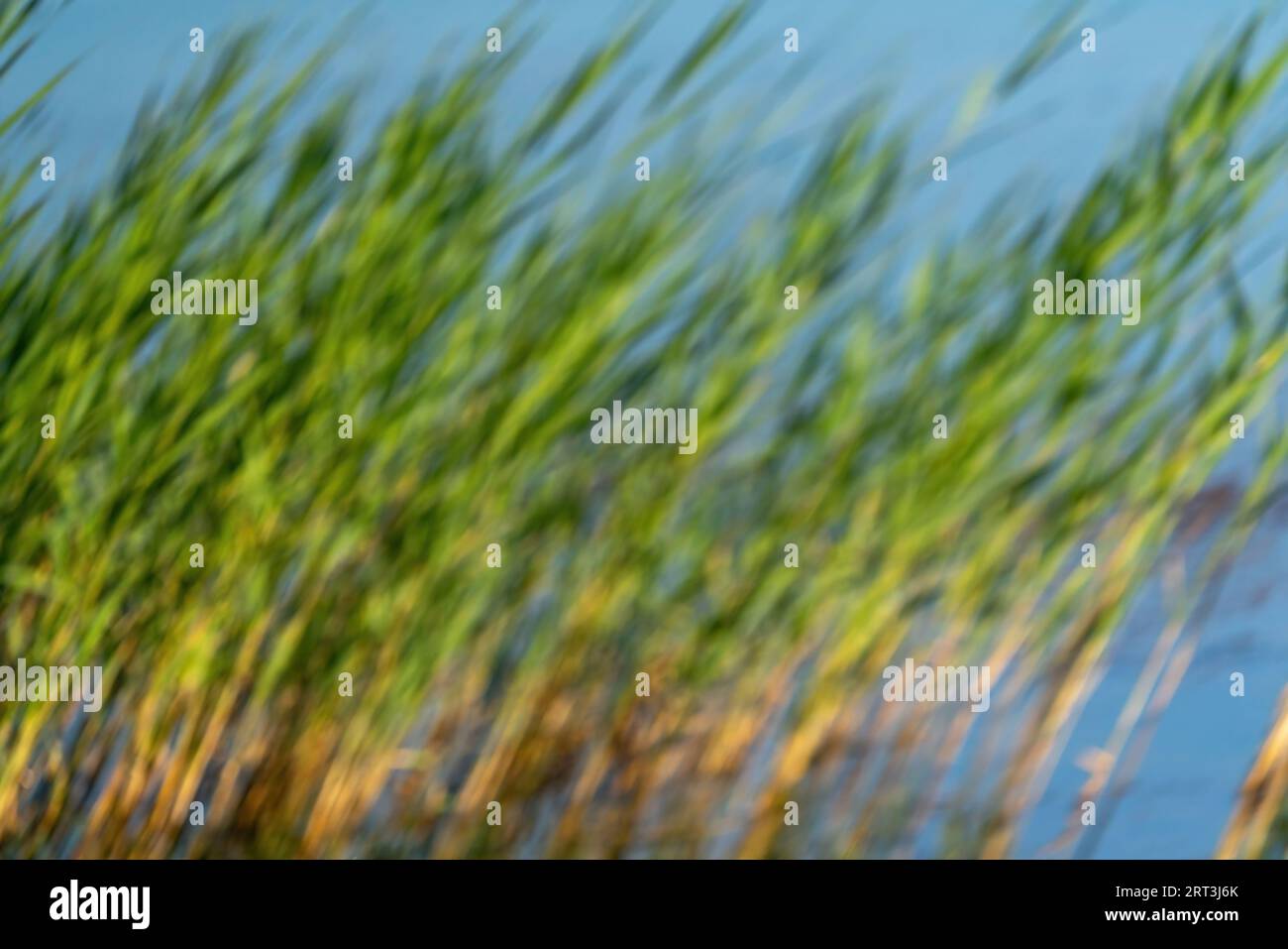 Fast texture blur hi-res stock photography and images - Alamy