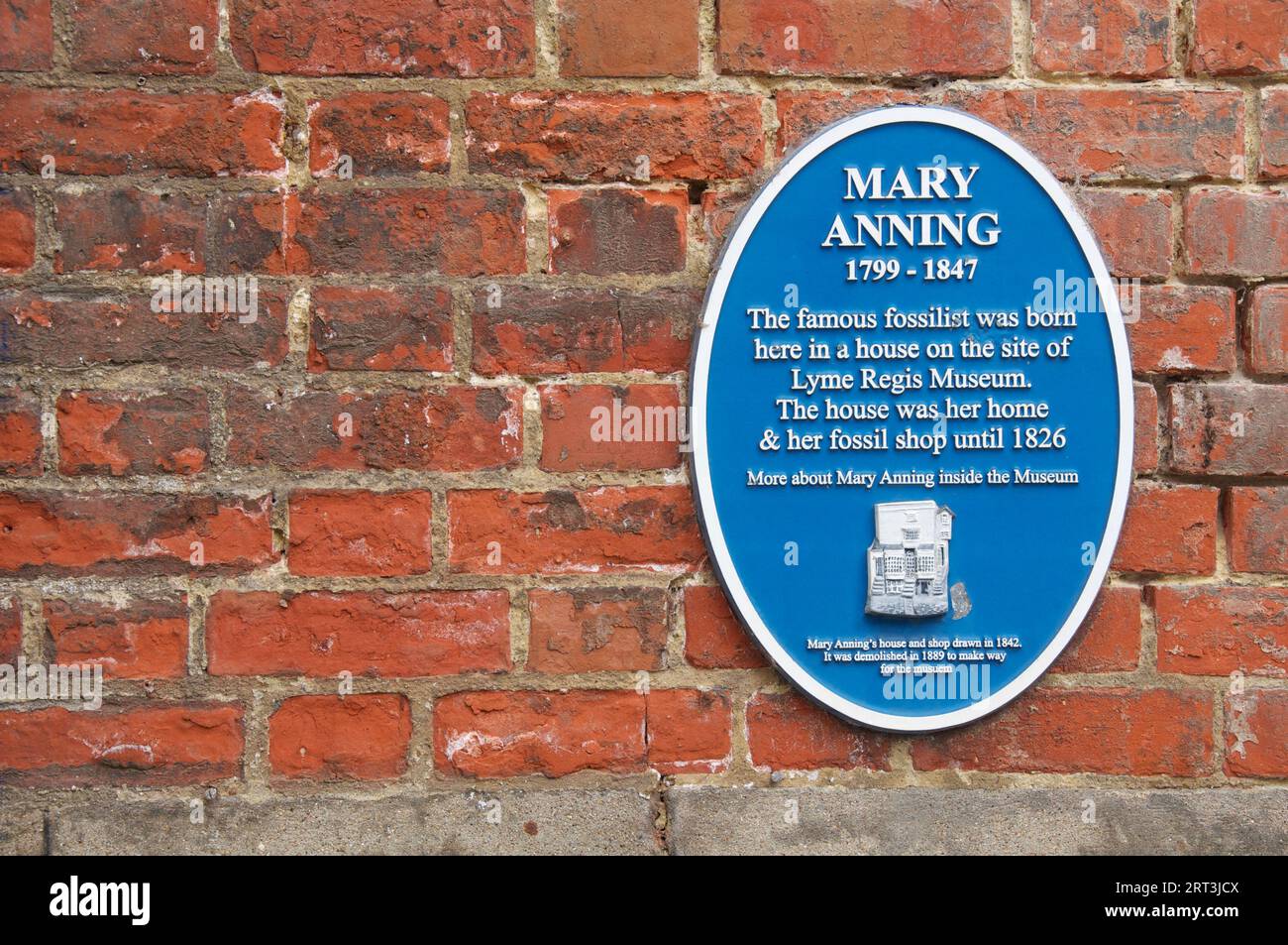 Blue plaque shows where Mary Anning the pioneering fossil hunter and ...