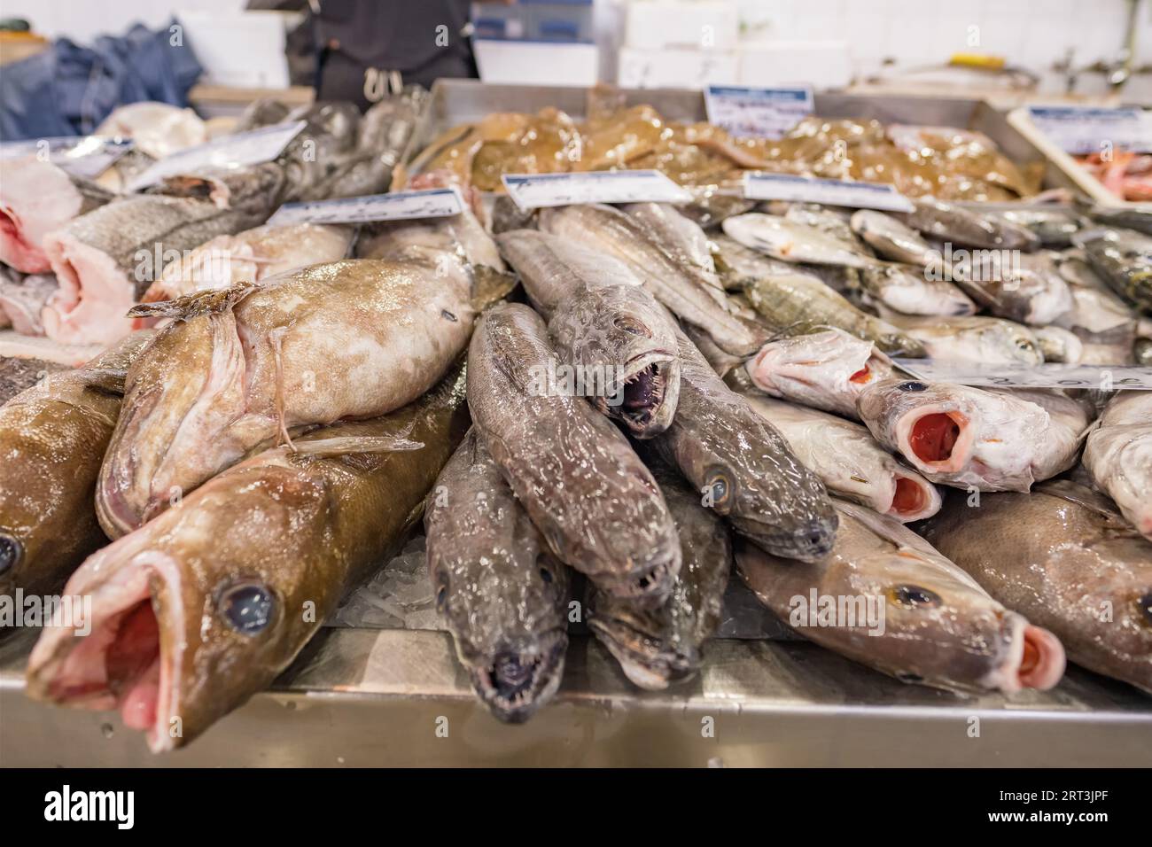 Fish and seafood section of the Olhao municipal market in Algarve ...