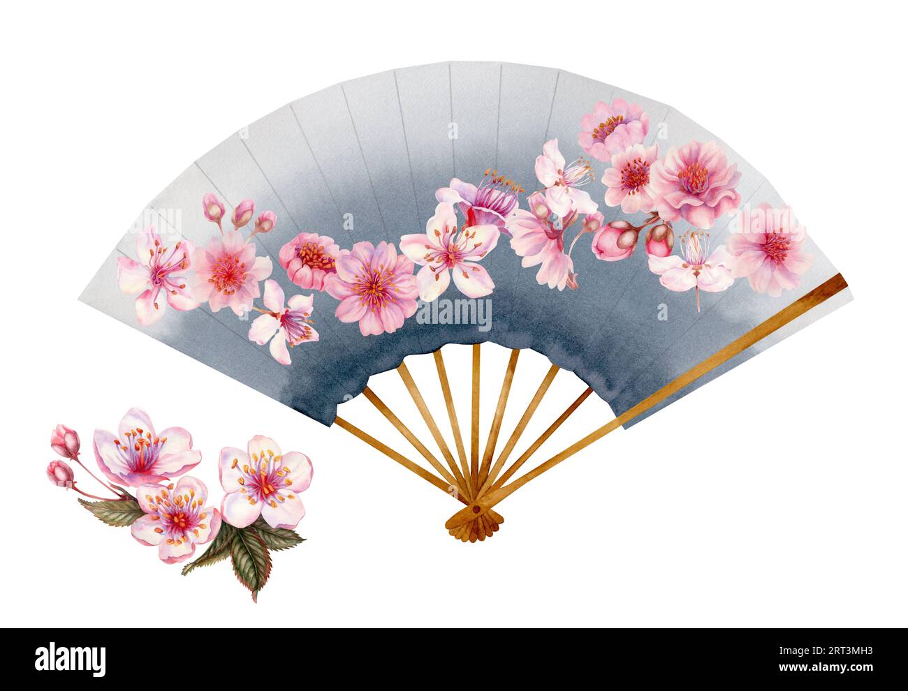 Watercolor illustration of a gray open paper fan with cherry blossoms ...