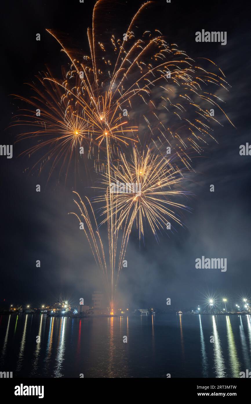A vertical shot of a Spectacular night sky with an array of fireworks ...
