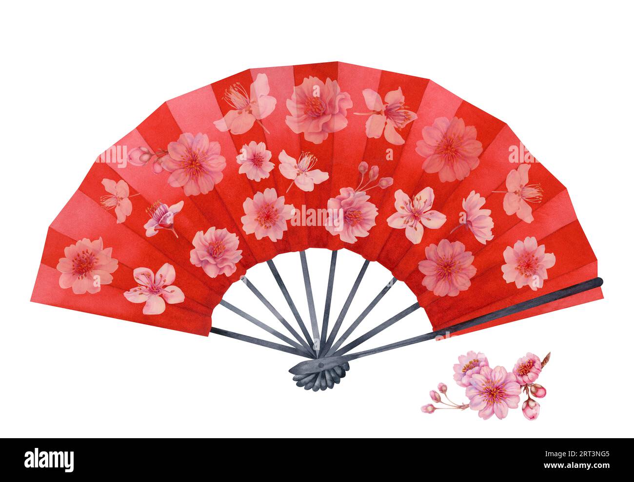 Watercolor illustration of a red open paper hand fan with cherry ...