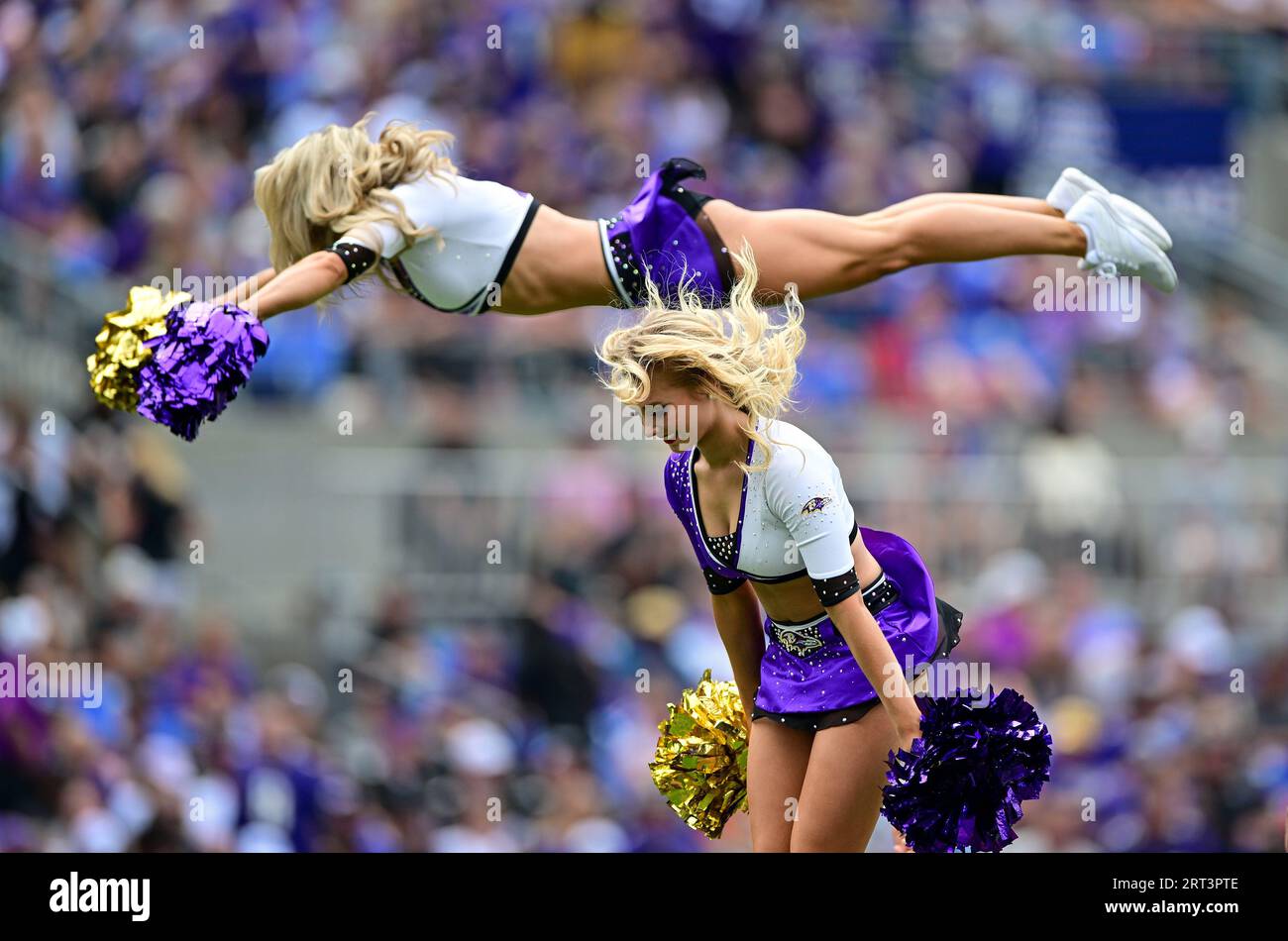 Baltimore, United States. 10th Sep, 2023. Baltimore Ravens cheerleaders ...