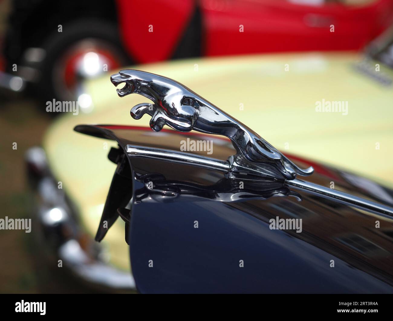 Close up of a classic Mark 2 Jaguar car Stock Photo - Alamy