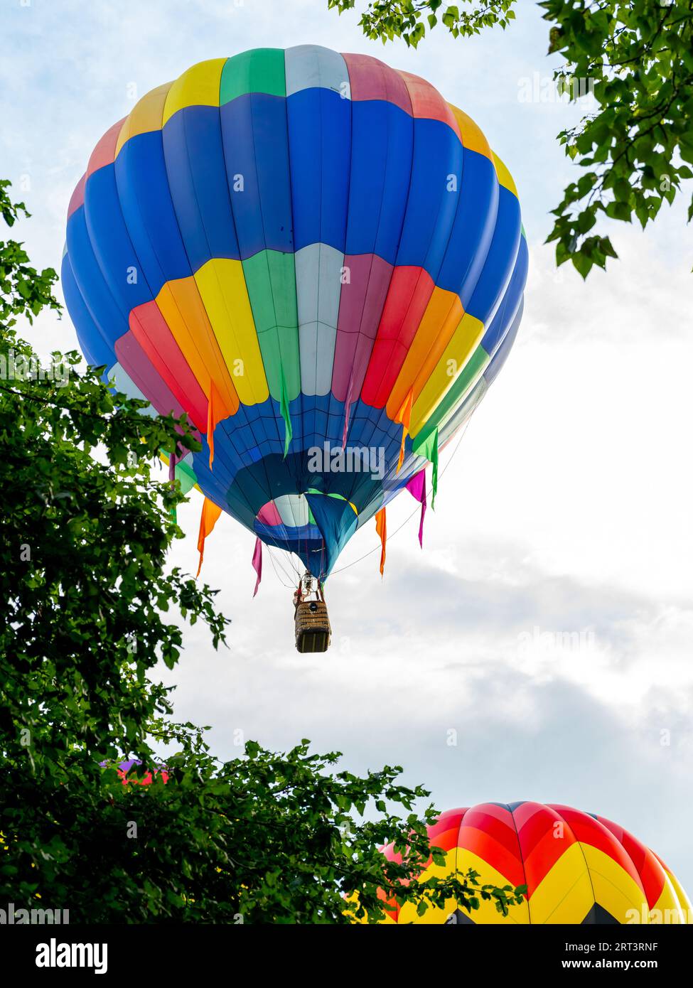 Hot air balloon floats overhead above the trees Stock Photo - Alamy