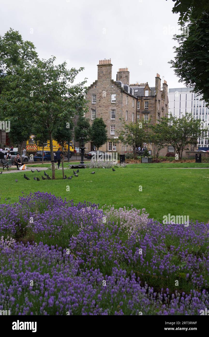 Edinburgh, Scotland (UK): a view of Nicolson Square Gardens in the city ...