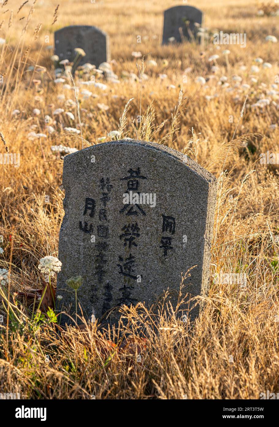 Stone oak island hi-res stock photography and images - Alamy