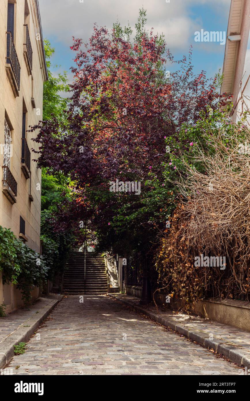 The paved streets and pretty low houses of "La Campagne ä Paris" ("the ...