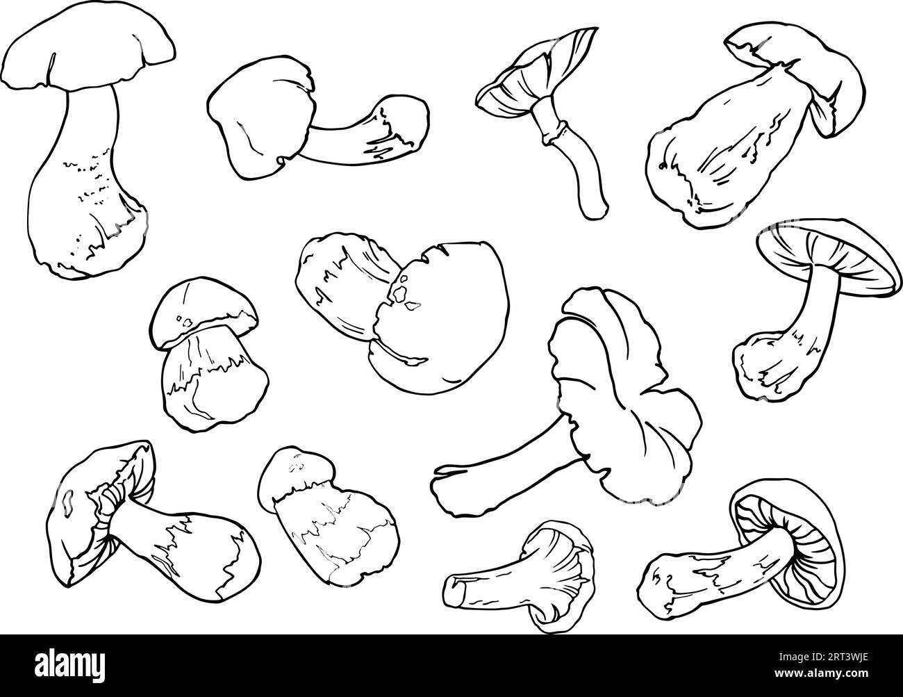 Vector set of mushrooms. Hand drawing lines. Sketch drawing of a ...
