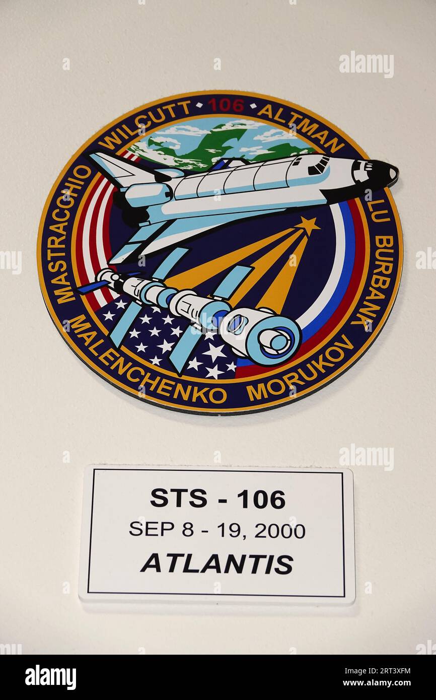 Nasa Challenger Patches Michelangelo