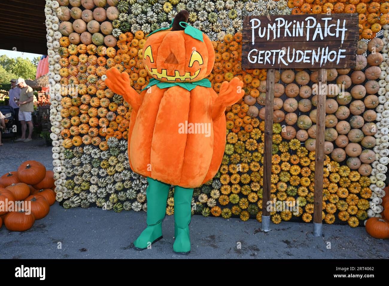 09 September 2023, North Rhine-Westphalia, Hürth: Mascot at the big ...