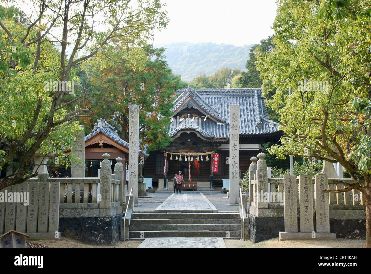 A tranquil stone pathway leading to a traditional Asian temple gate ...